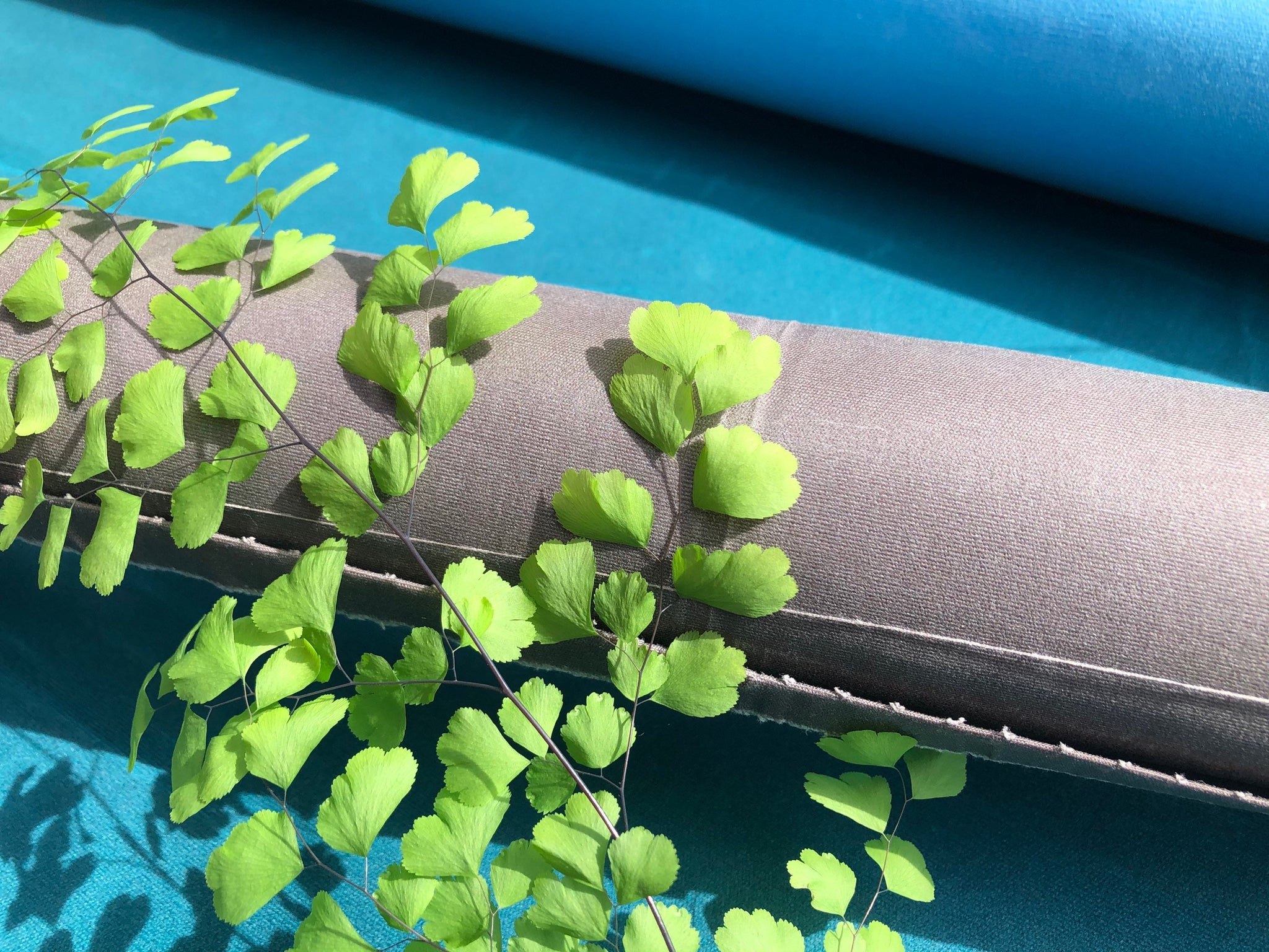 Soft wax with velvet finish waxed canvas, oilcloth, oilskin, apron fab ...