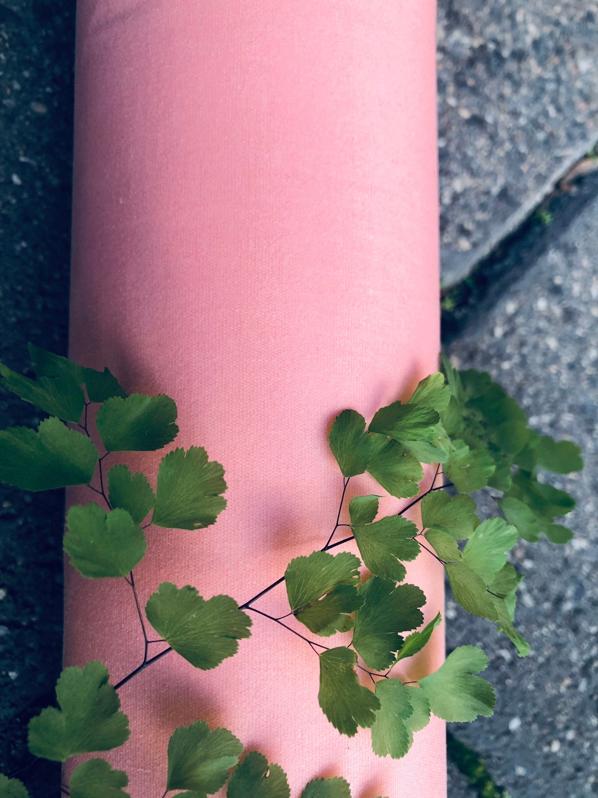 Soft wax with velvet finish waxed canvas, oilcloth, oilskin, apron fab ...