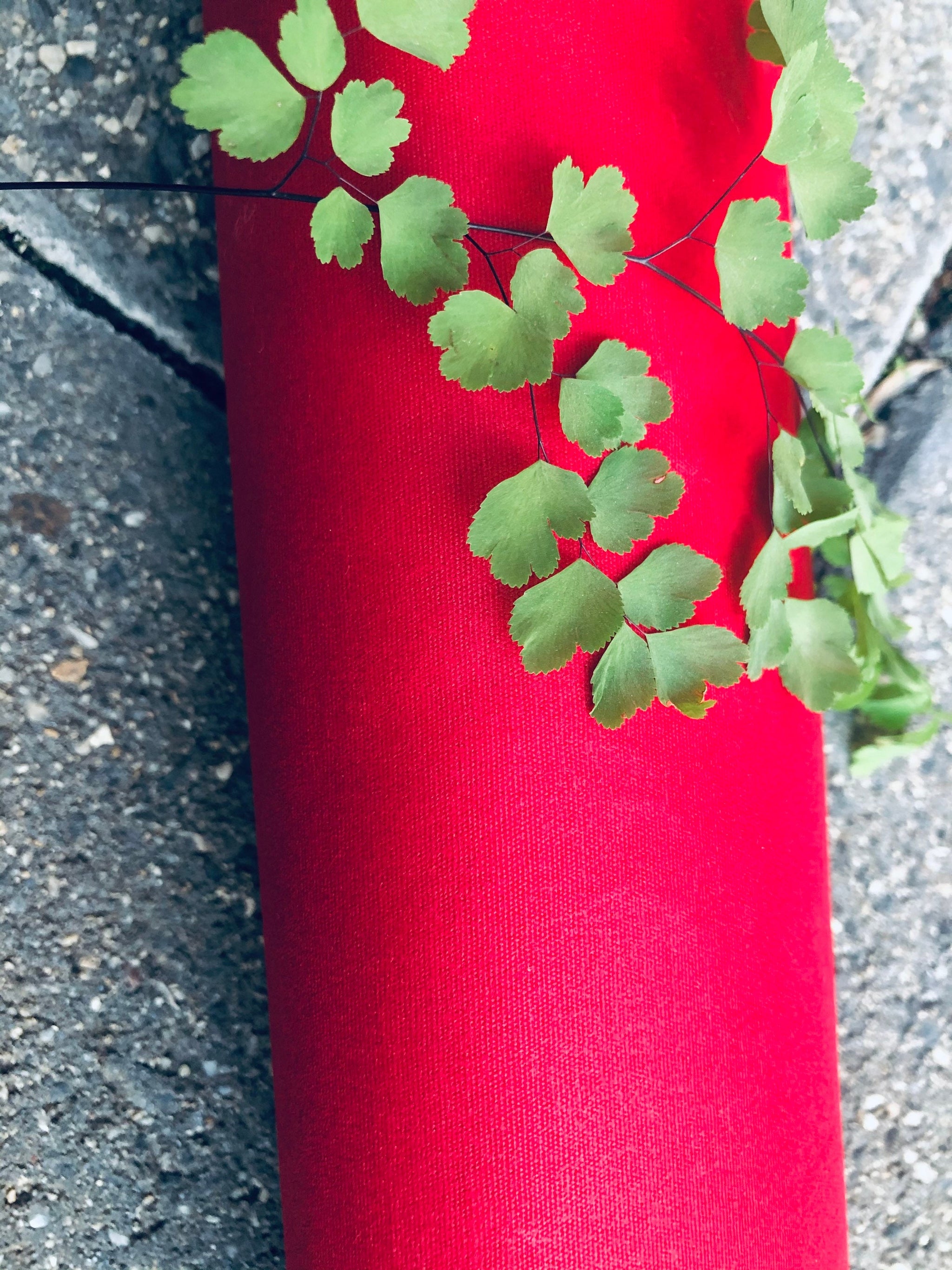 Soft wax with velvet finish waxed canvas, oilcloth, oilskin, apron fab ...